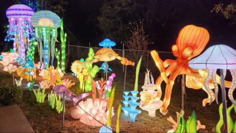GloWild Lantern Festival at the Kansas City Zoo & Aquarium 2024 - The ...